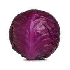 10 variétés différentes de choux présentées